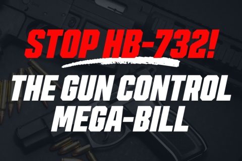 Sign the Petition: Block HB-732 -- The Gun Control Mega Bill!